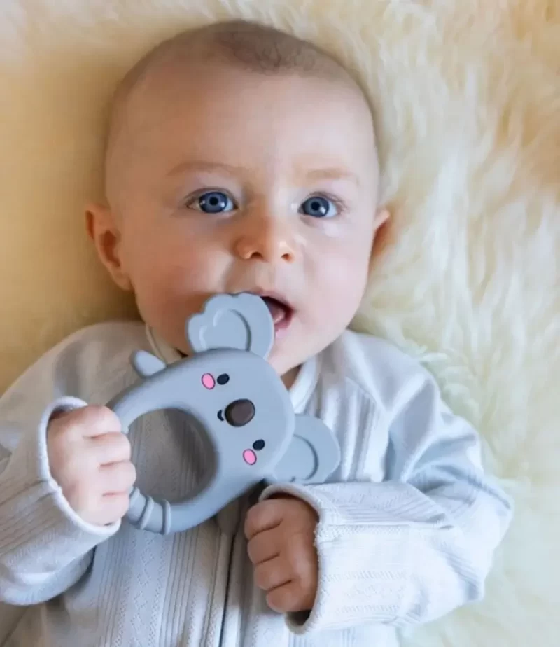 Silicone Teether Koala – Laugh and Learn